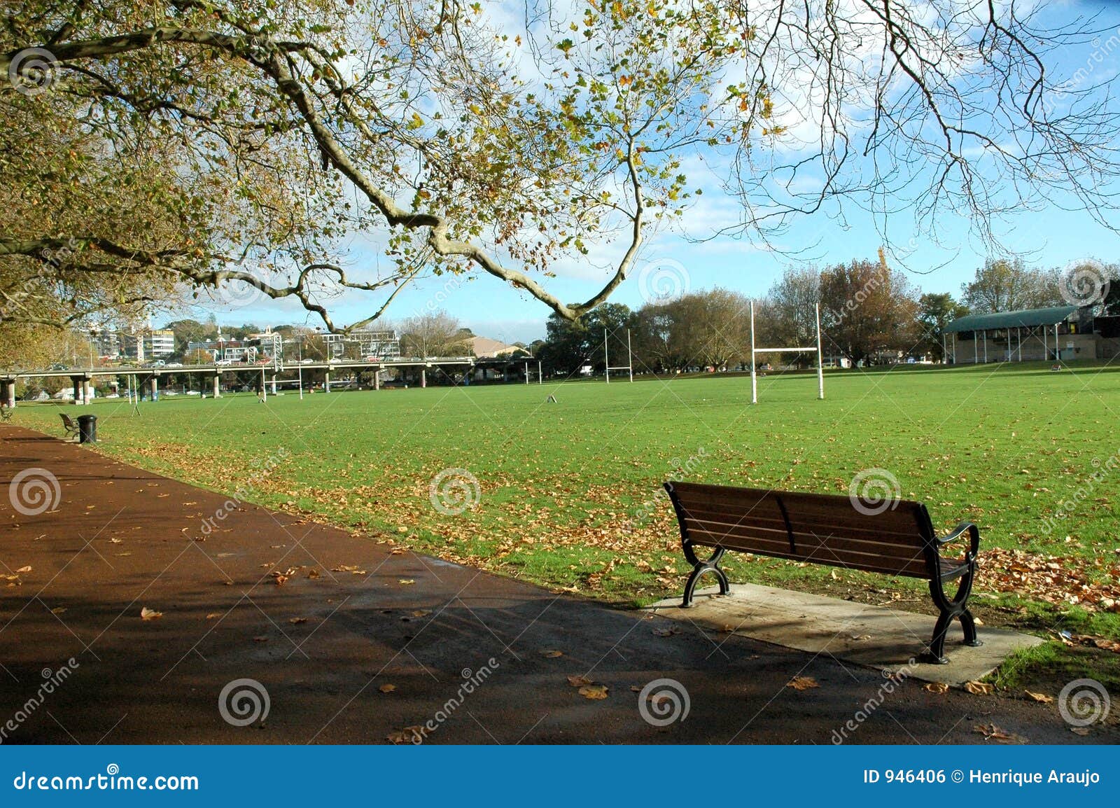 Beautiful and Peaceful Park Stock Photo - Image of path, grass: 946406