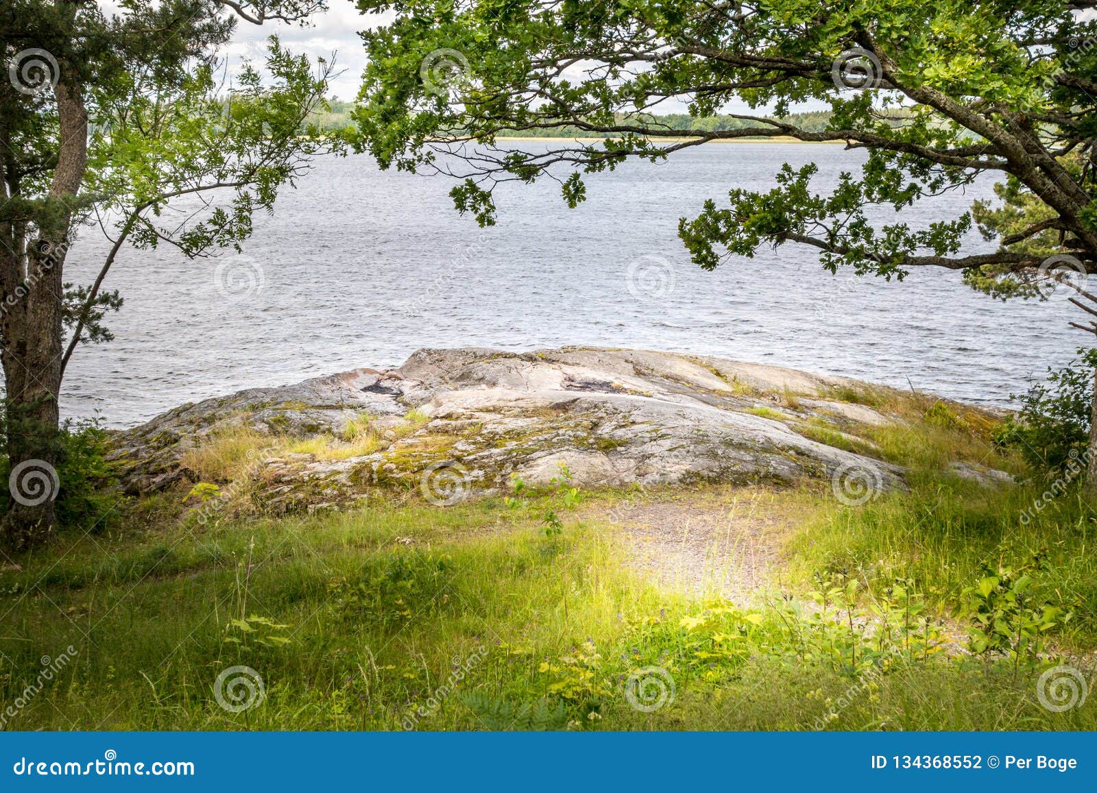 Beautiful Peaceful and Tranquil Summer View of a Path To a Glade by the ...
