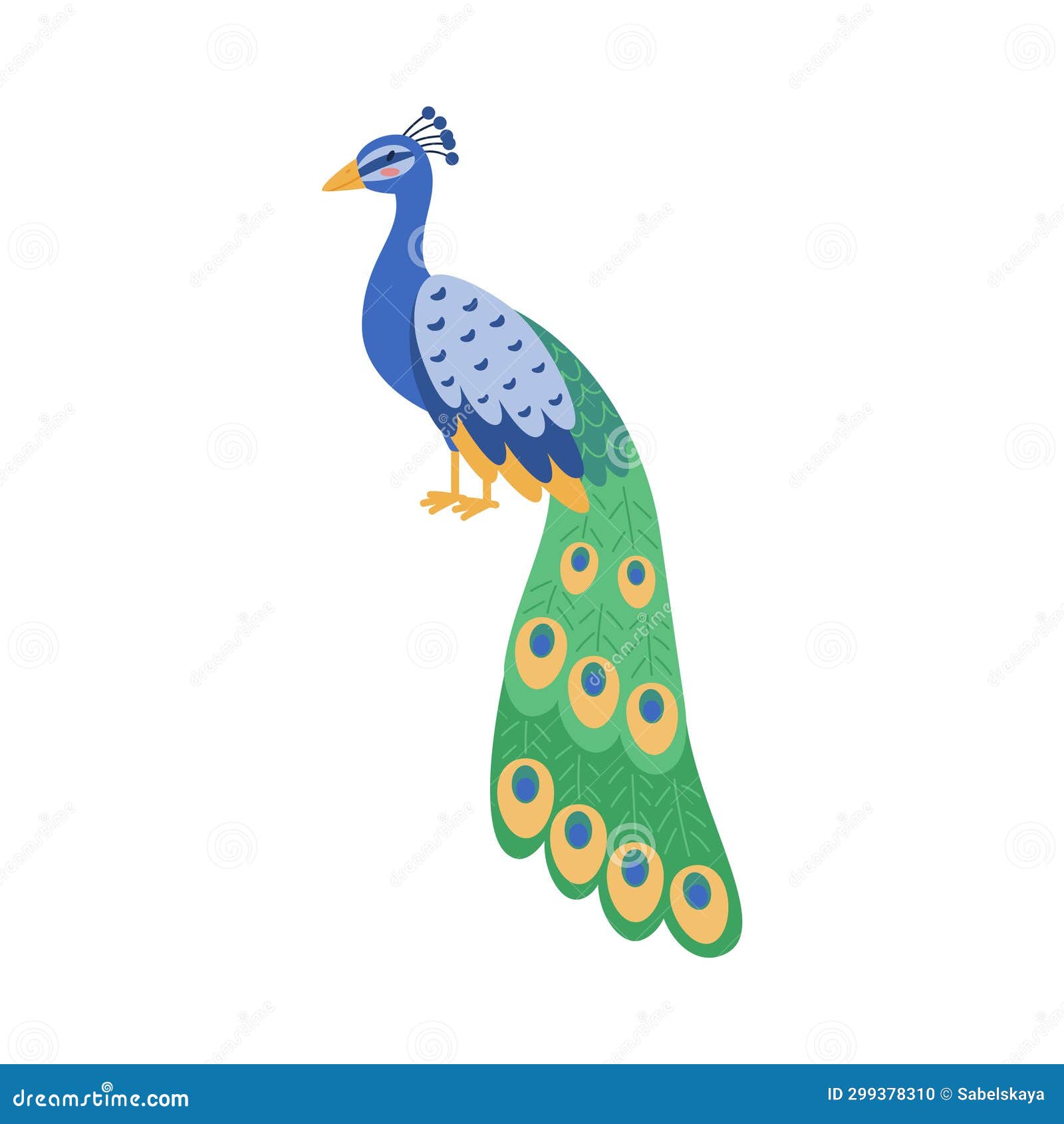 Beautiful Peacock With Put Down Amazing Tail Bird With Ornamental