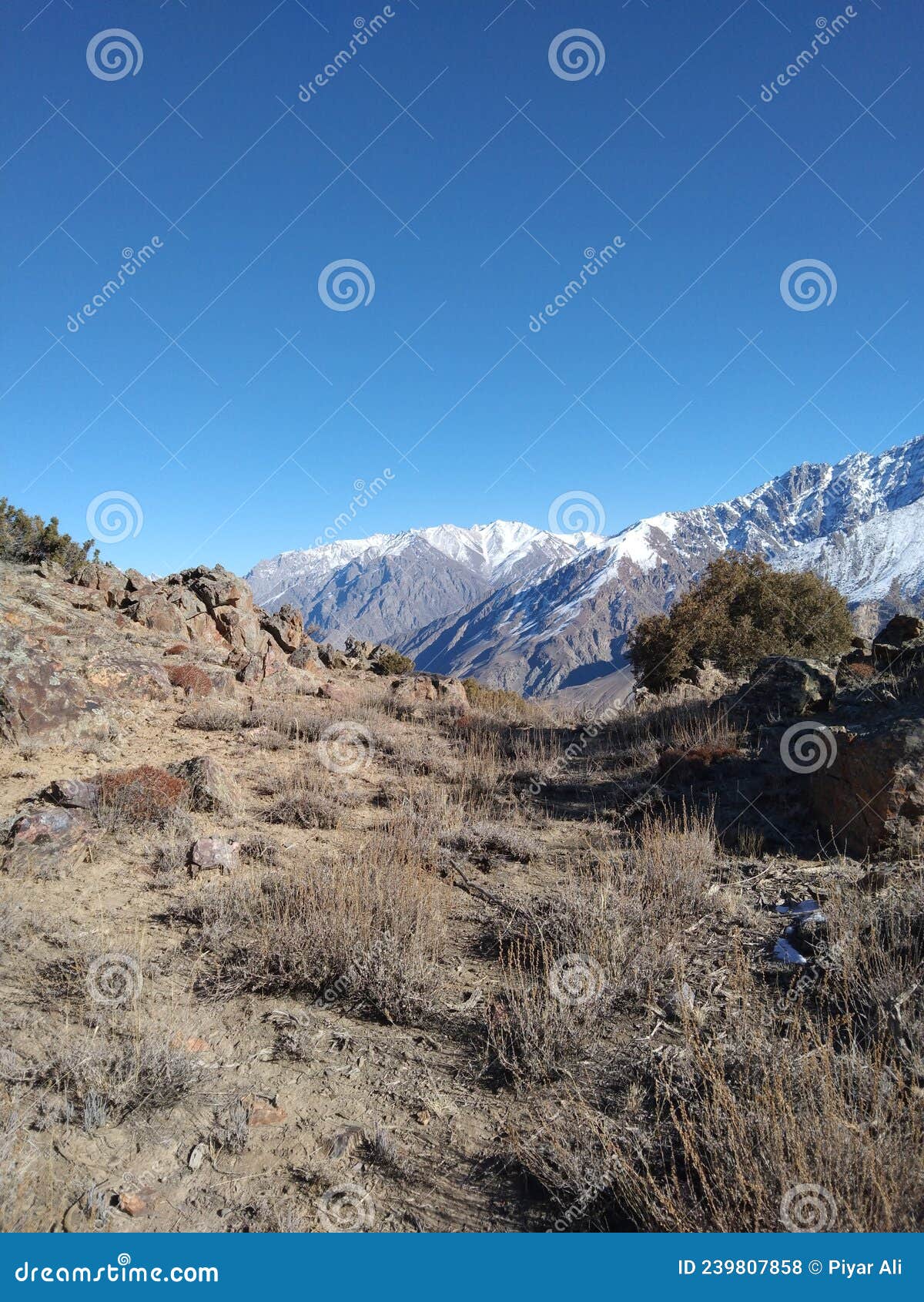 Beautiful Ghizer River, Blue River Surrounded By Hindu Gush Mountains ...