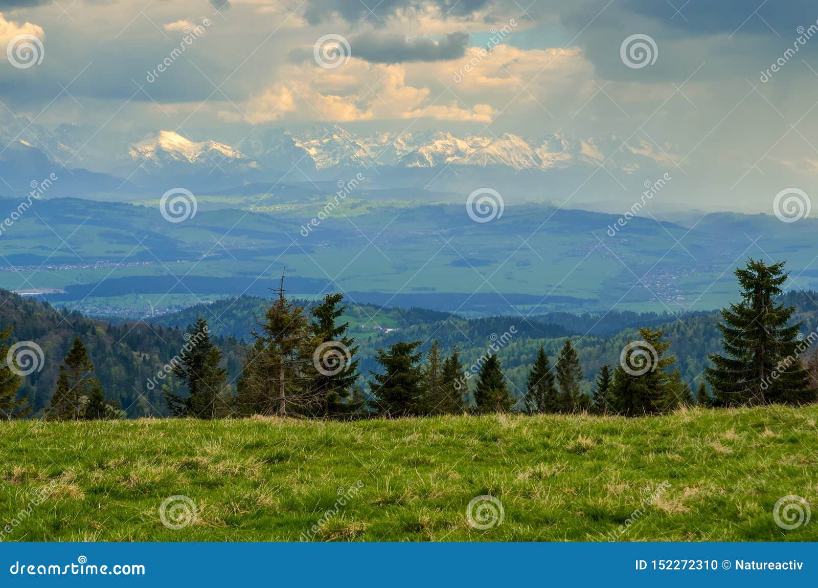 Beautiful Mountain Spring Landscape. Stock Photo - Image of field ...