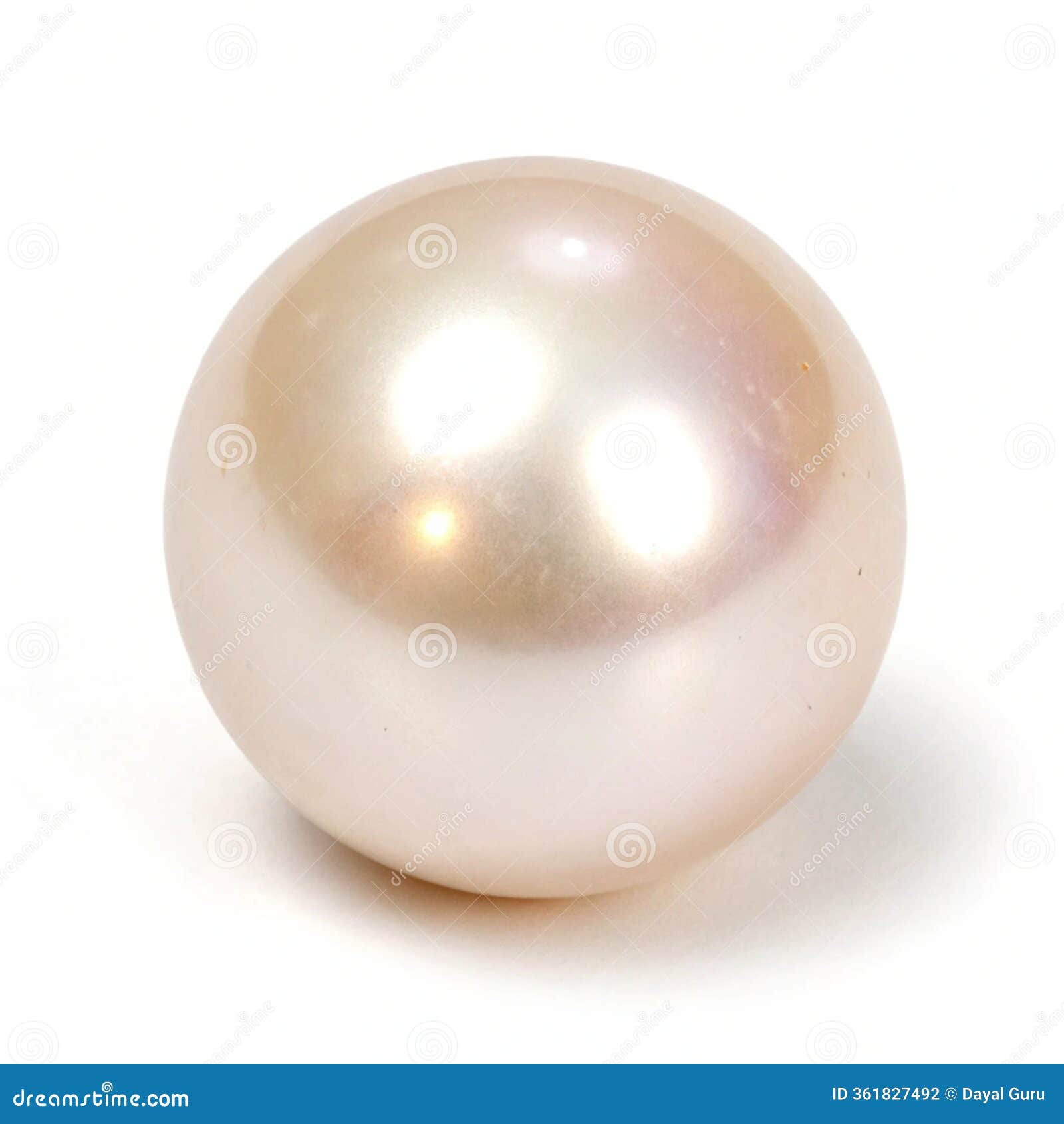 Beautiful Pearl Isolated on Transparent Background Stock Illustration ...