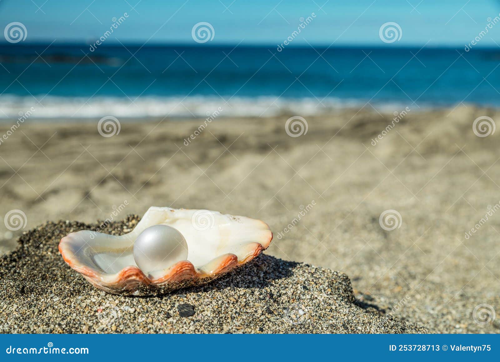 Beautiful Pearl in the Pearl Shell on the Sand Beach. Sea and Blue Sky ...