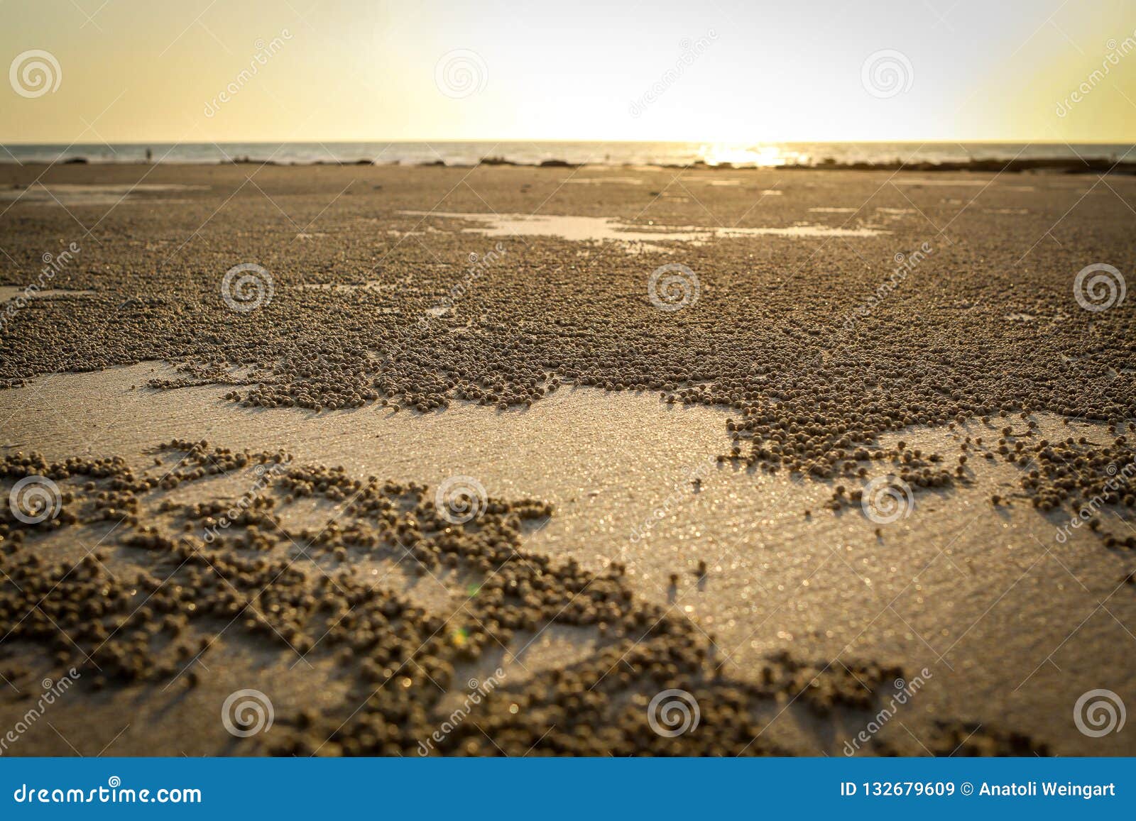 Beautiful Pearls of Cable Beach Stock Image - Image of broome ...