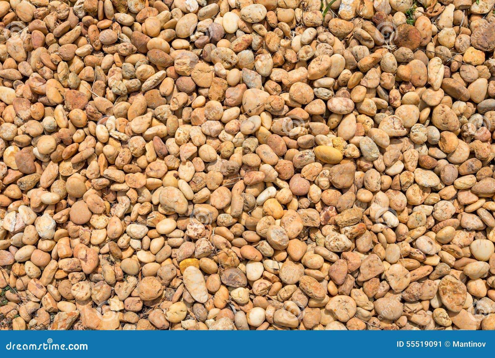 Beautiful Pebble Floor As Background Stock Image - Image of pebble ...