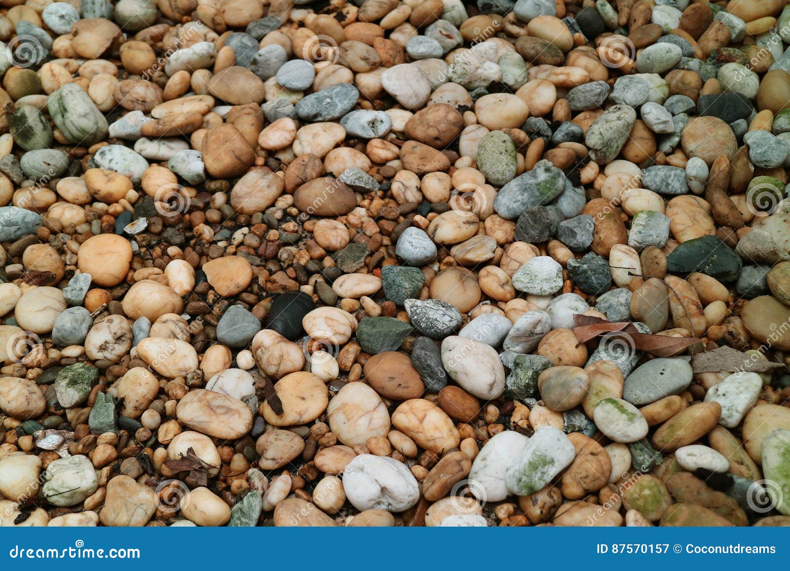 Beautiful Pebble Stone Ground Background Stock Images - 862 Photos