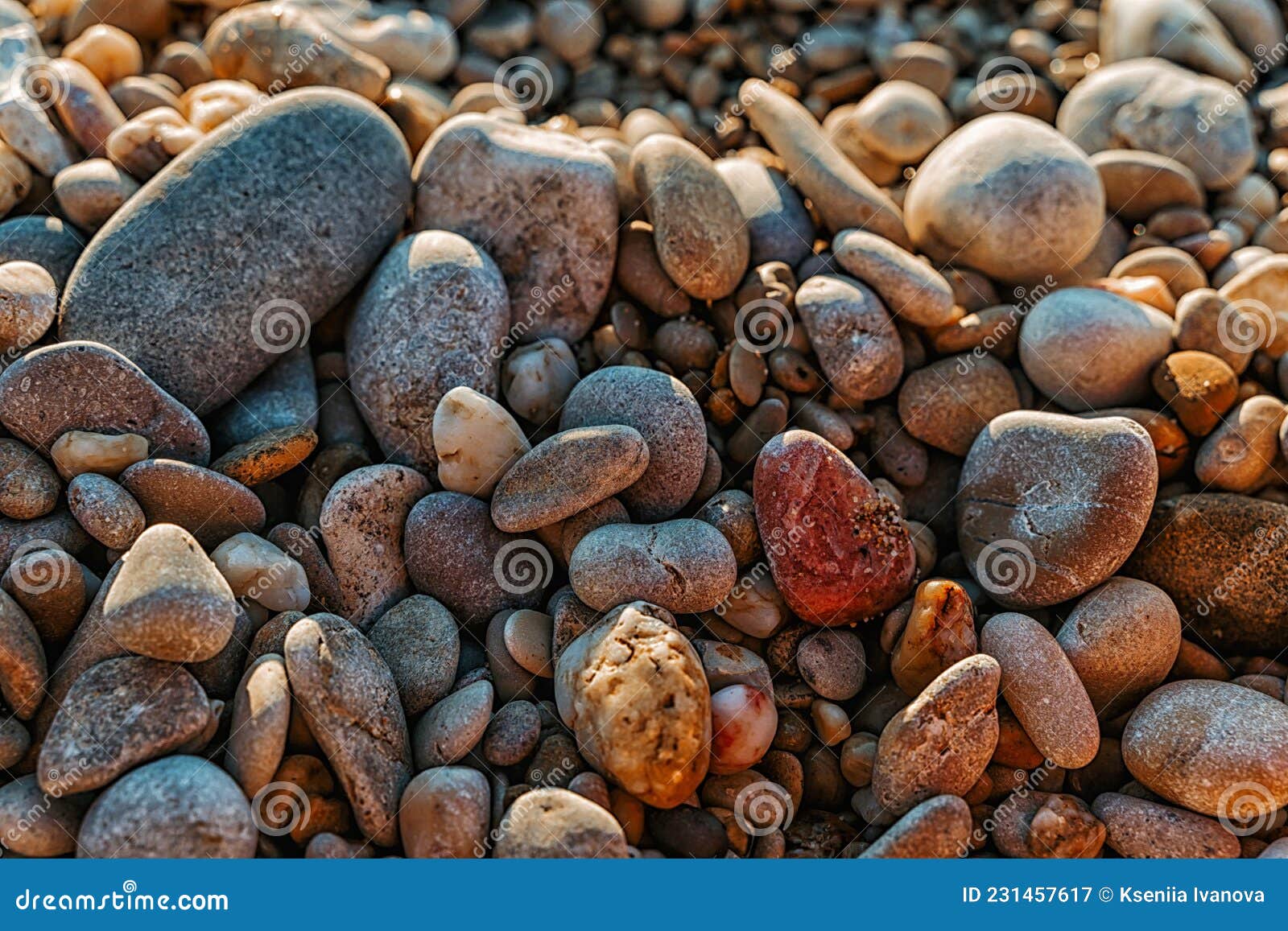 Beautiful Pebbles on the Beach during Sunset. Stock Image - Image of ...