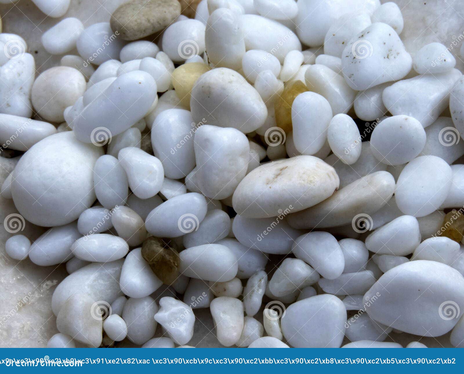 Beautiful Pebbles At The Beach Royalty-Free Stock Photography ...