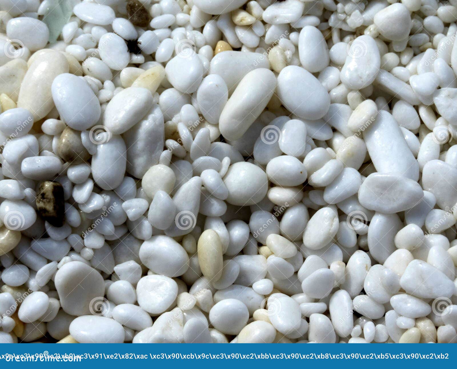 Beautiful Pebbles At The Beach Royalty-Free Stock Photography ...