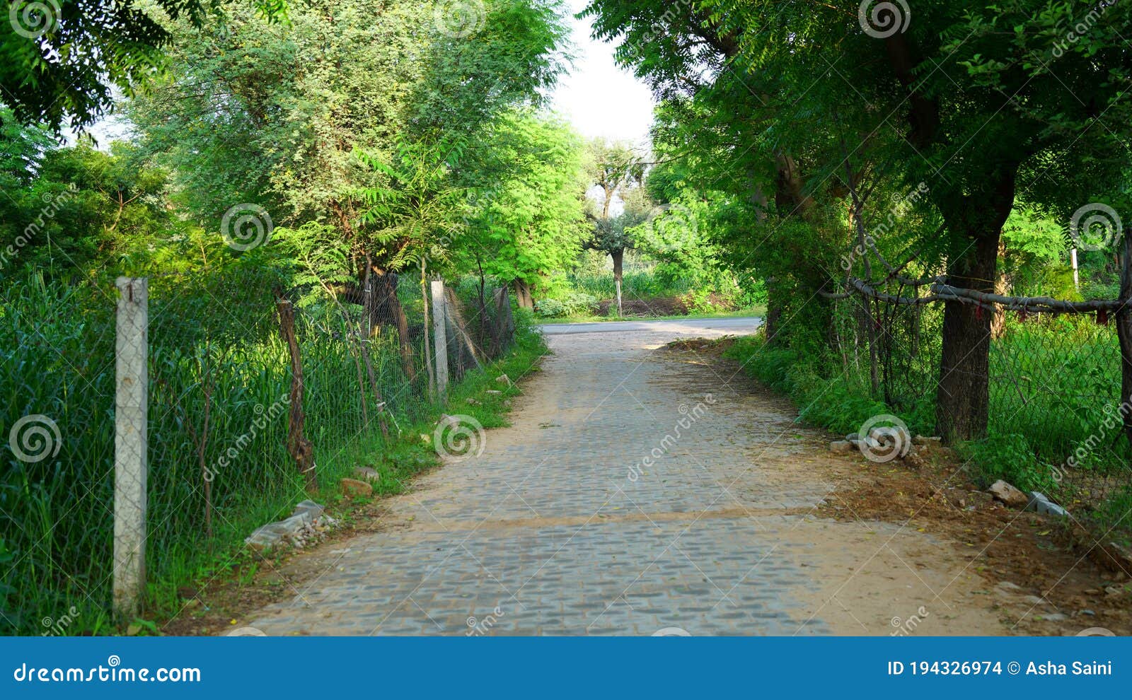 Beautiful Pedestrian Pathway through Green Fields, Boulevard Pathway ...
