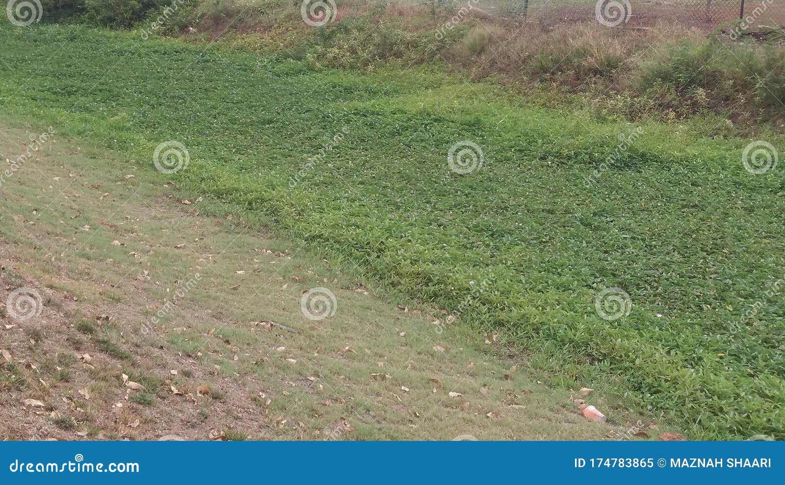 The Beautiful of Pendang Lake Resorts Scenery Stock Image - Image of ...