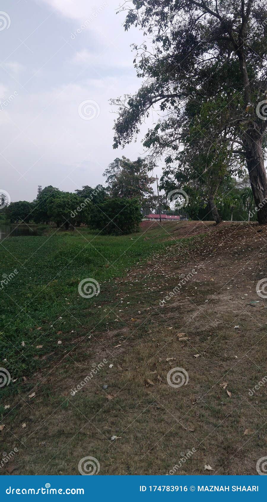 The Beautiful of Pendang Lake Resorts Scenery Stock Photo - Image of ...