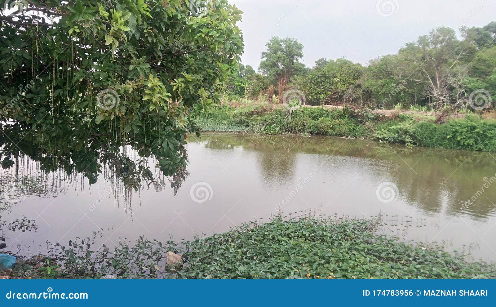 The Beautiful of Pendang Lake Resorts Scenery Stock Photo - Image of ...