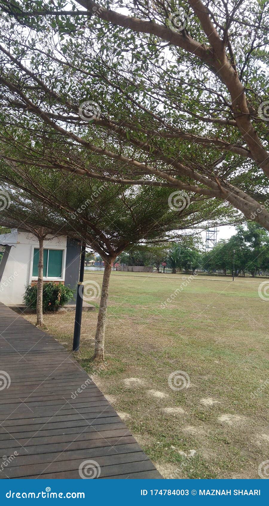 The Beautiful of Pendang Lake Resorts Scenery Stock Image - Image of ...