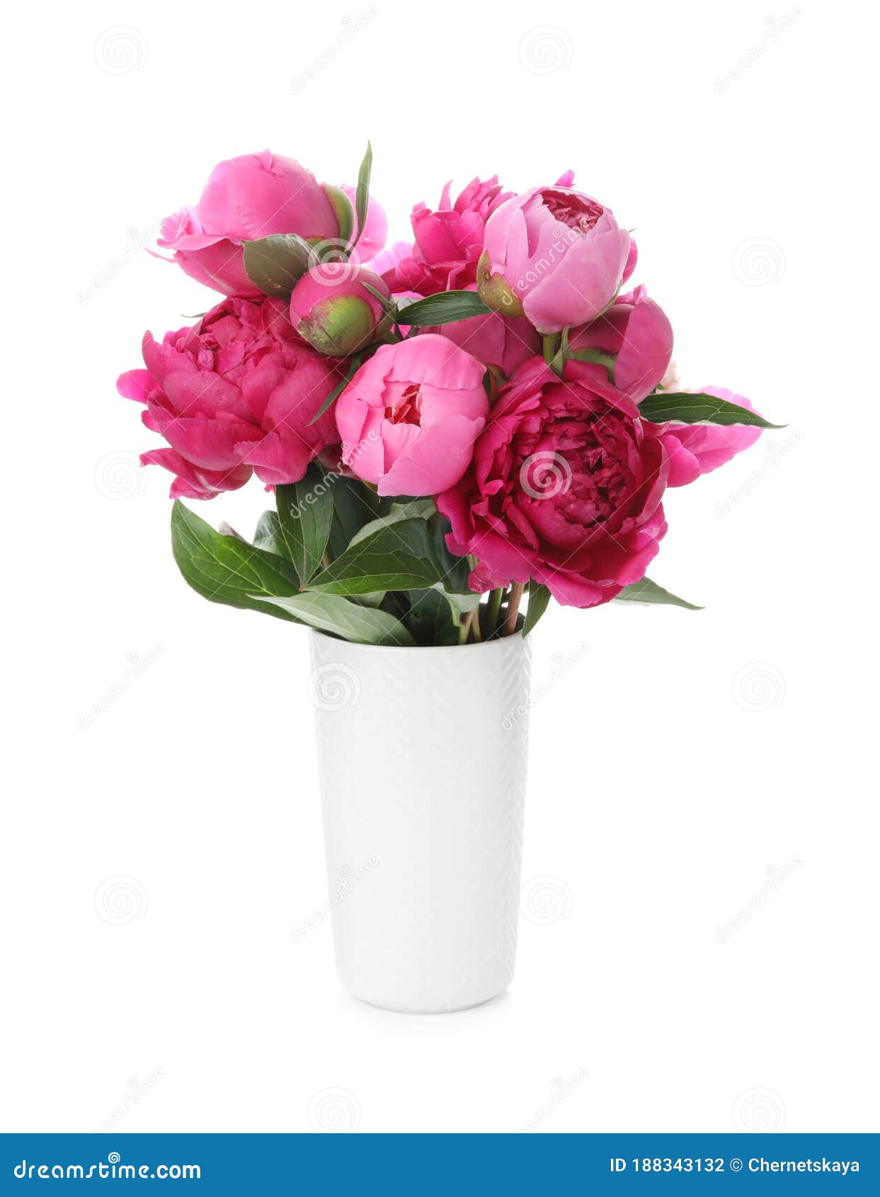 Beautiful Peonies in Vase Isolated Stock Photo - Image of botanical ...