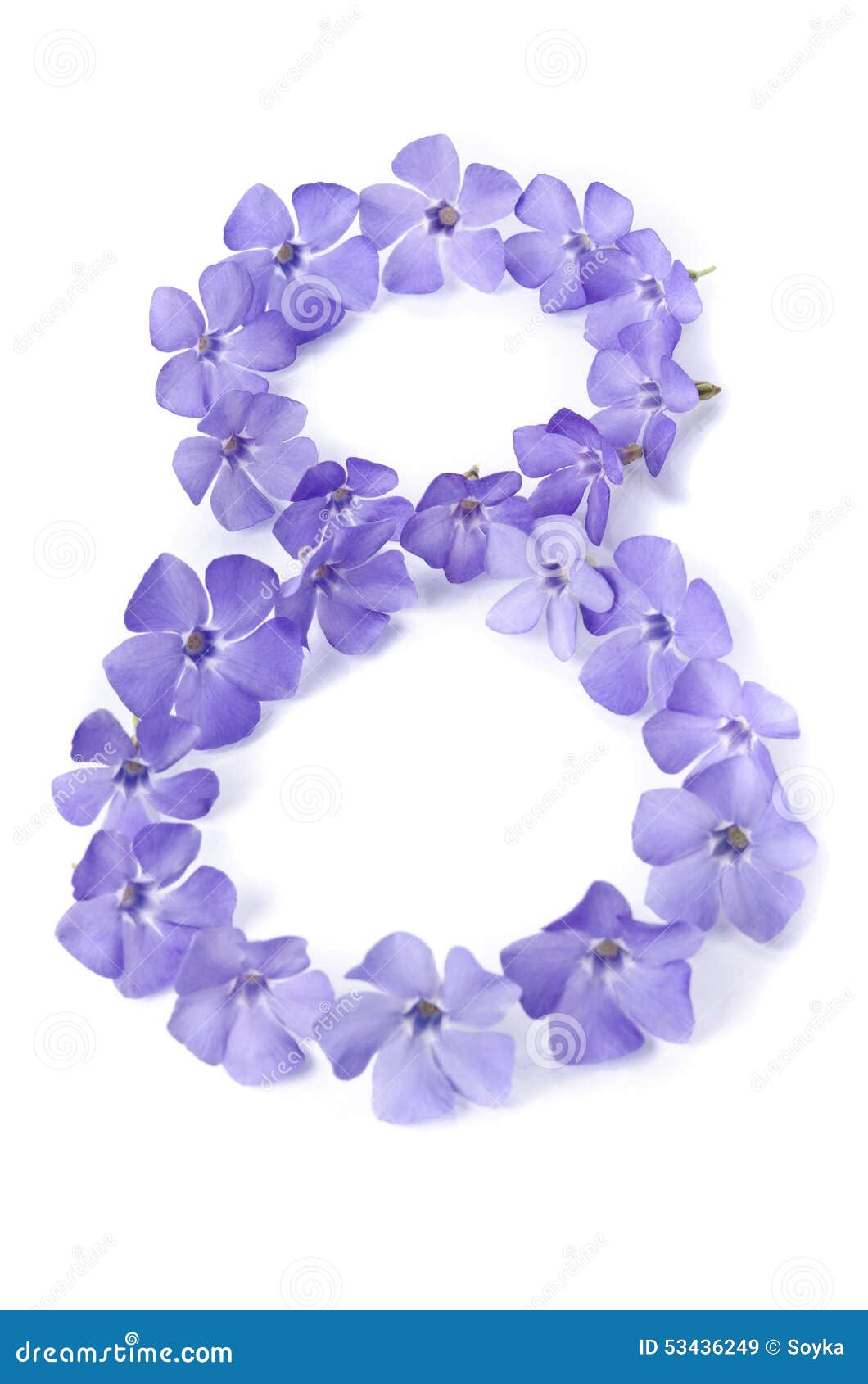 Beautiful Periwinkles in Shape of 8 Stock Image - Image of meadow ...