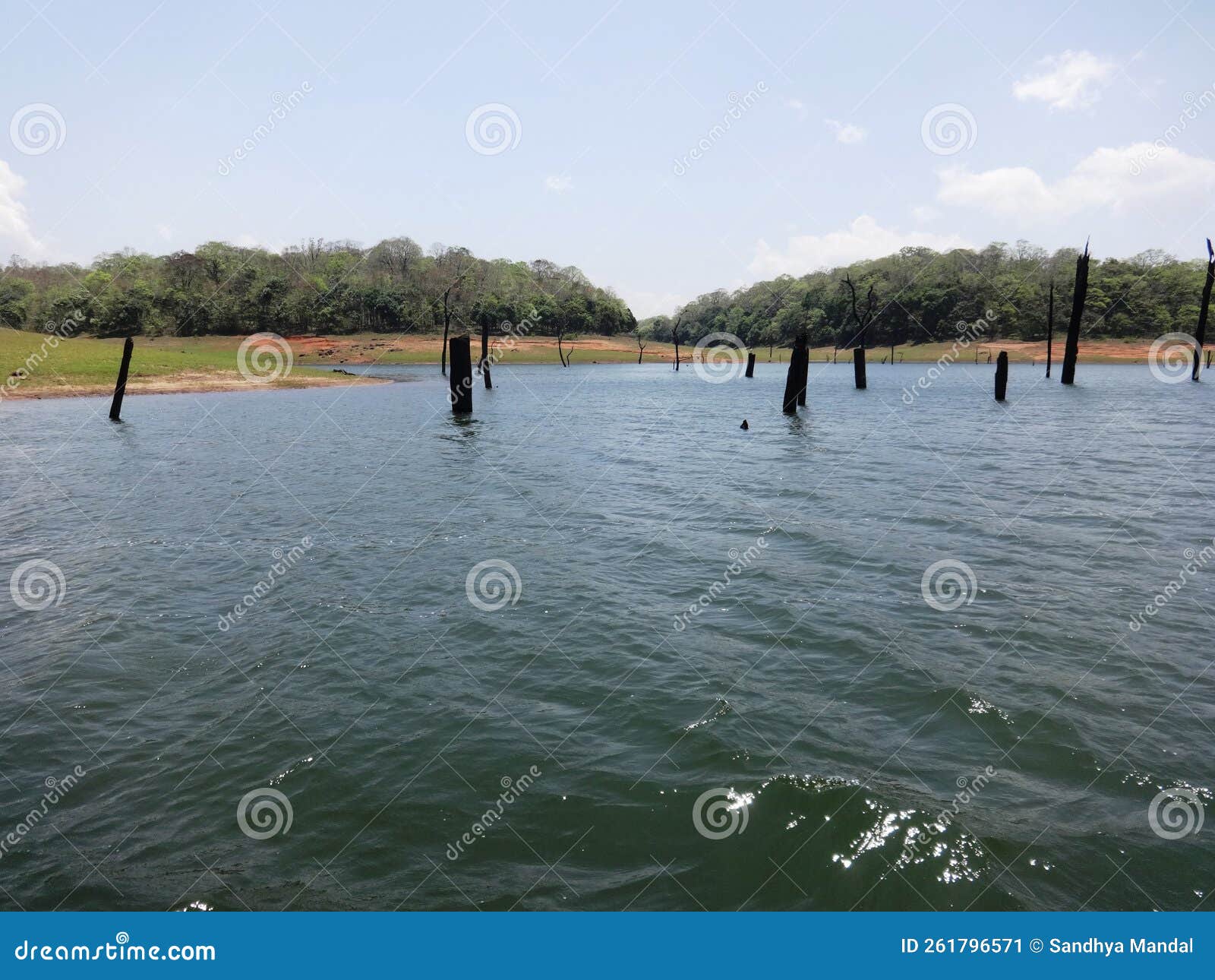 The Beautiful Periyar Lake with Submerged Trees Stock Image - Image of ...