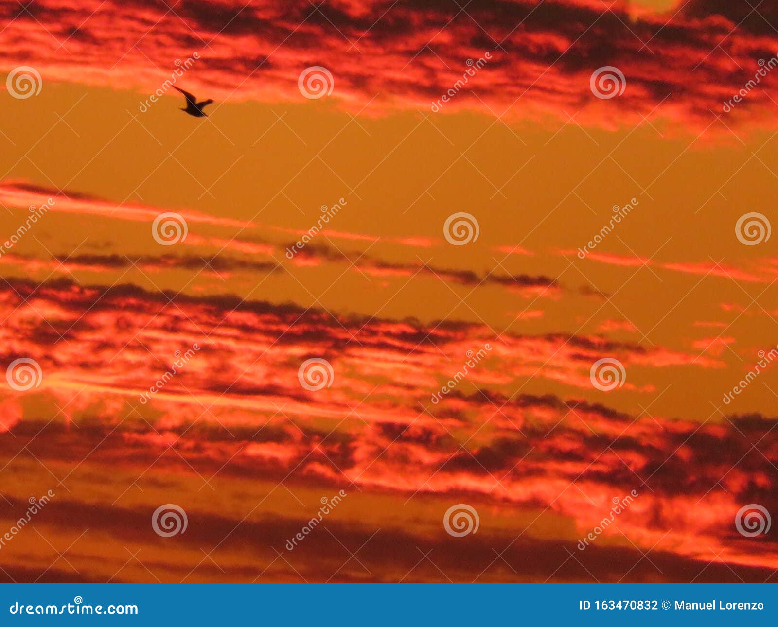 Beautiful Photo of a Sunset with Nice Color in the Clouds Beautiful ...