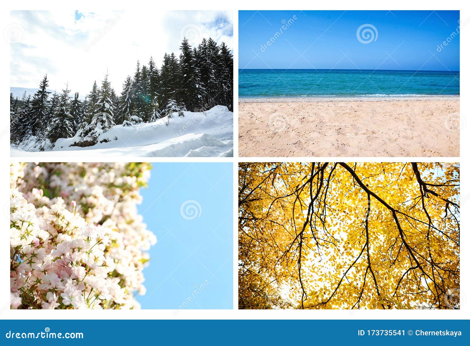 Beautiful Photos of Nature. Four Seasons Collage Stock Image - Image of ...