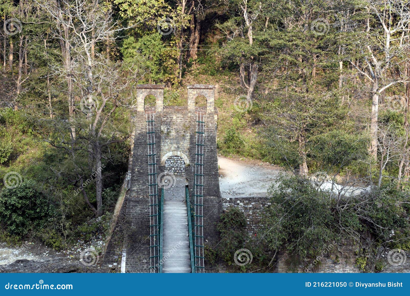Beautiful Picture of Bridge in Jungle Stock Photo - Image of light ...