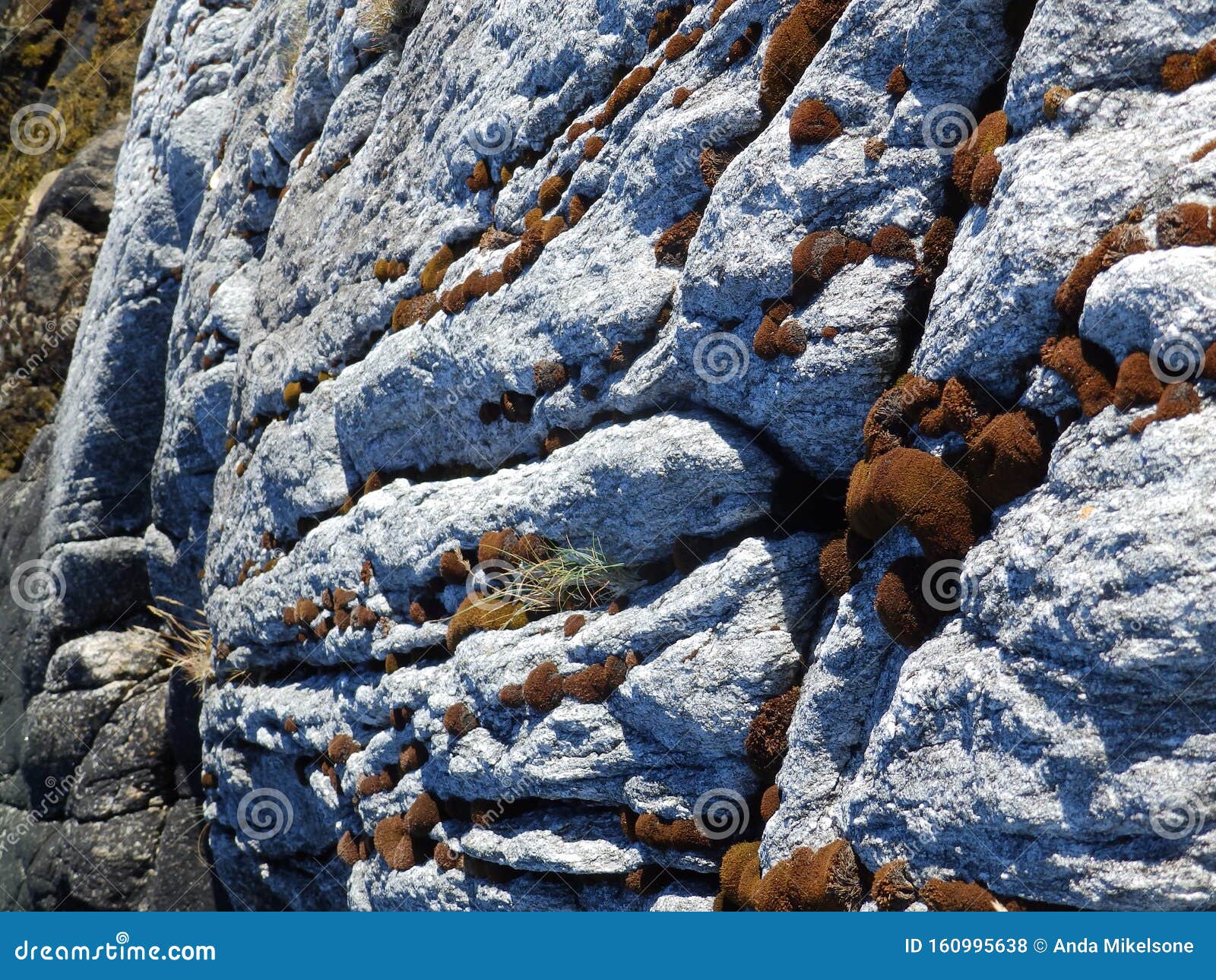 Picture with an Interesting Stone Texture Stock Photo - Image of stone ...