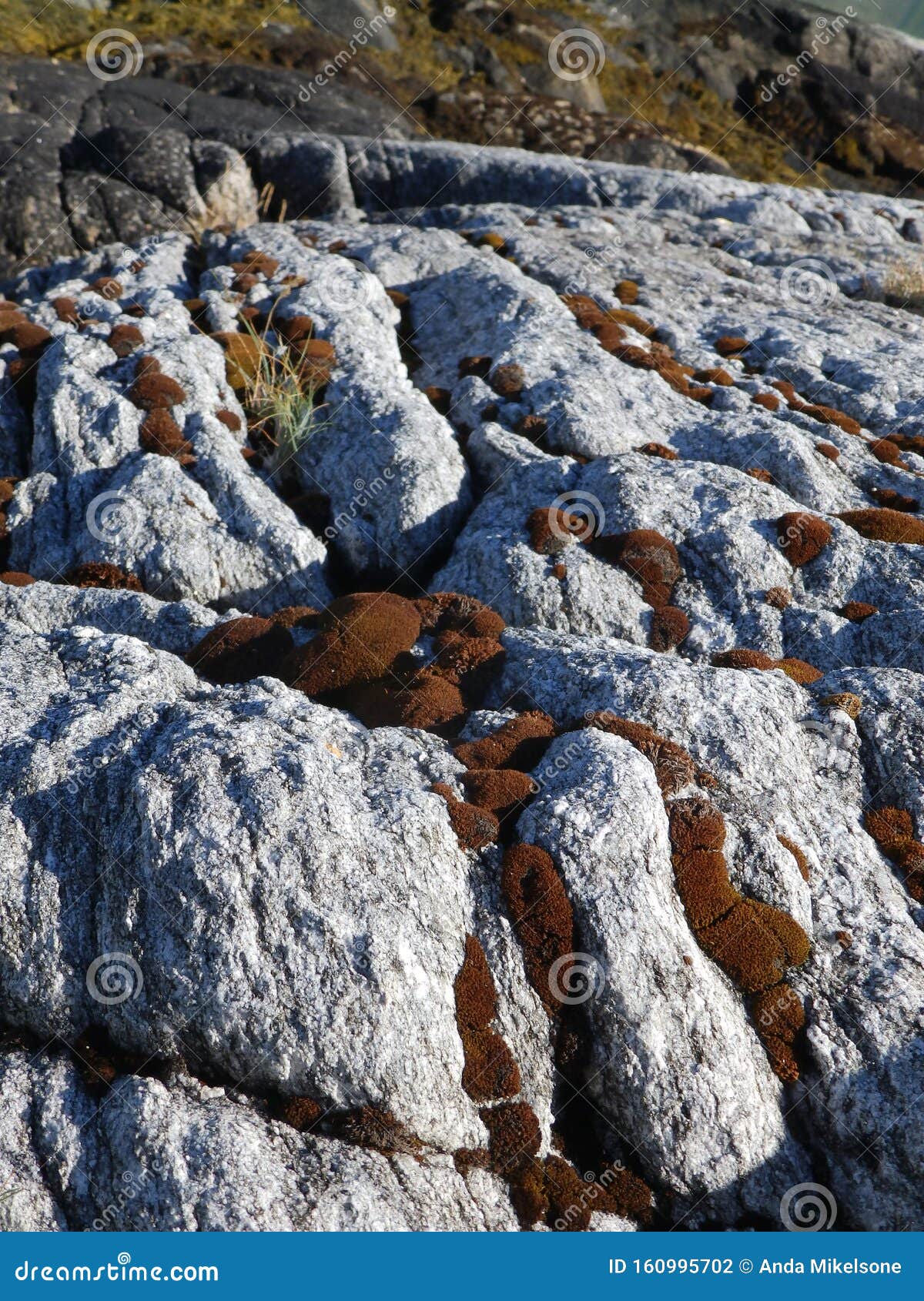 Picture with an Interesting Stone Texture Stock Photo - Image of ...