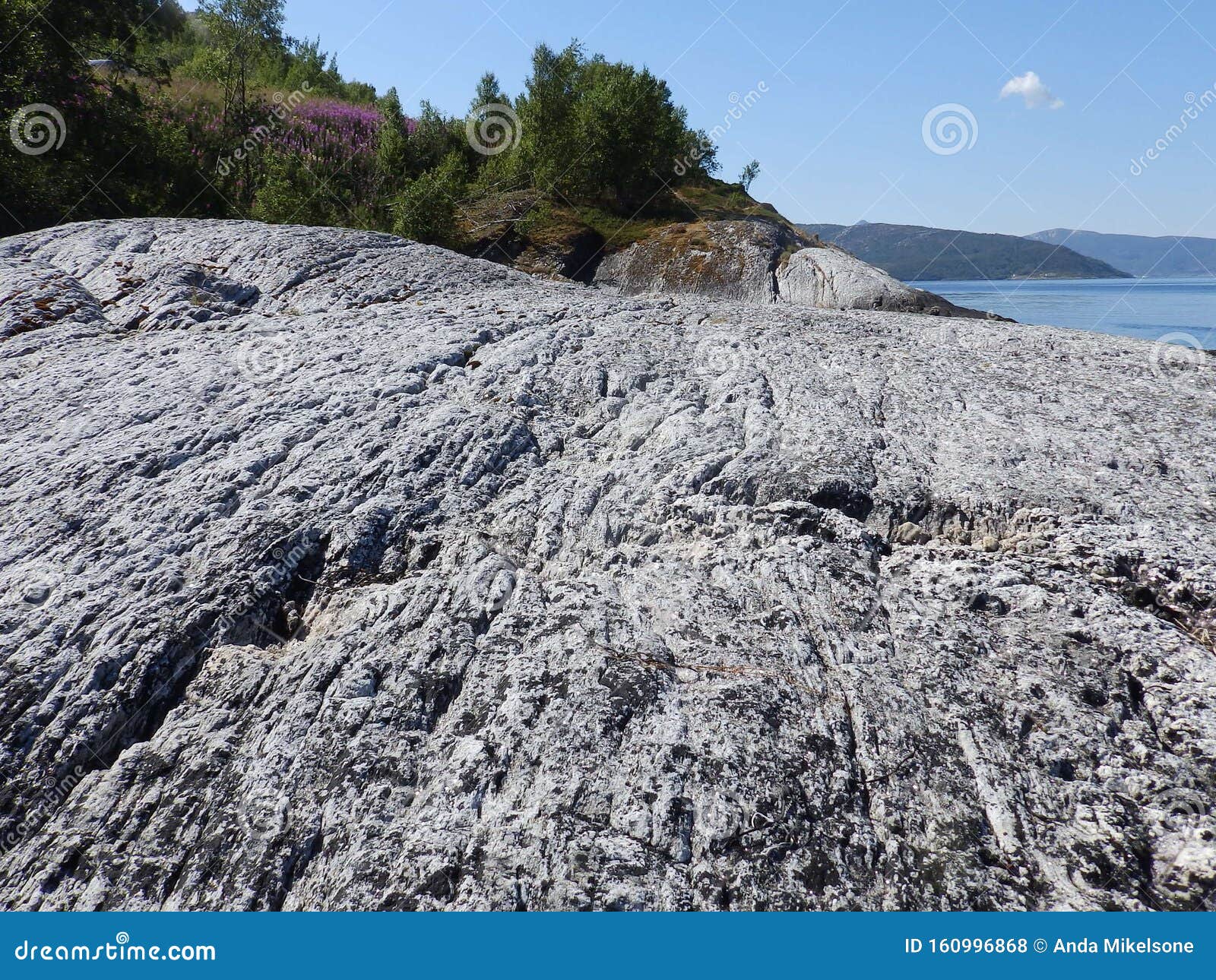 Picture with an Interesting Stone Texture Stock Photo - Image of ...