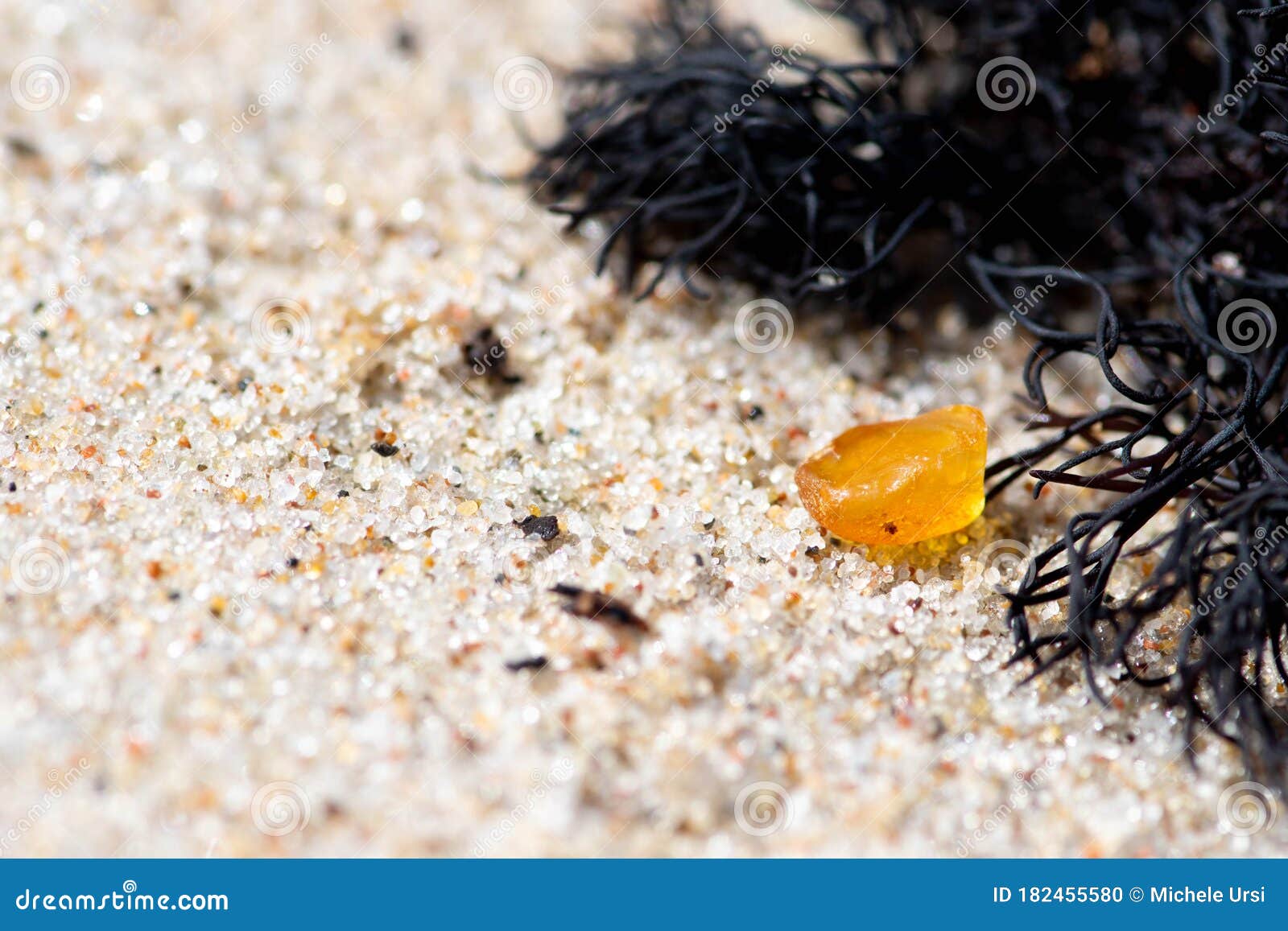Beautiful Piece of Amber on the Beach Stock Photo - Image of piece ...