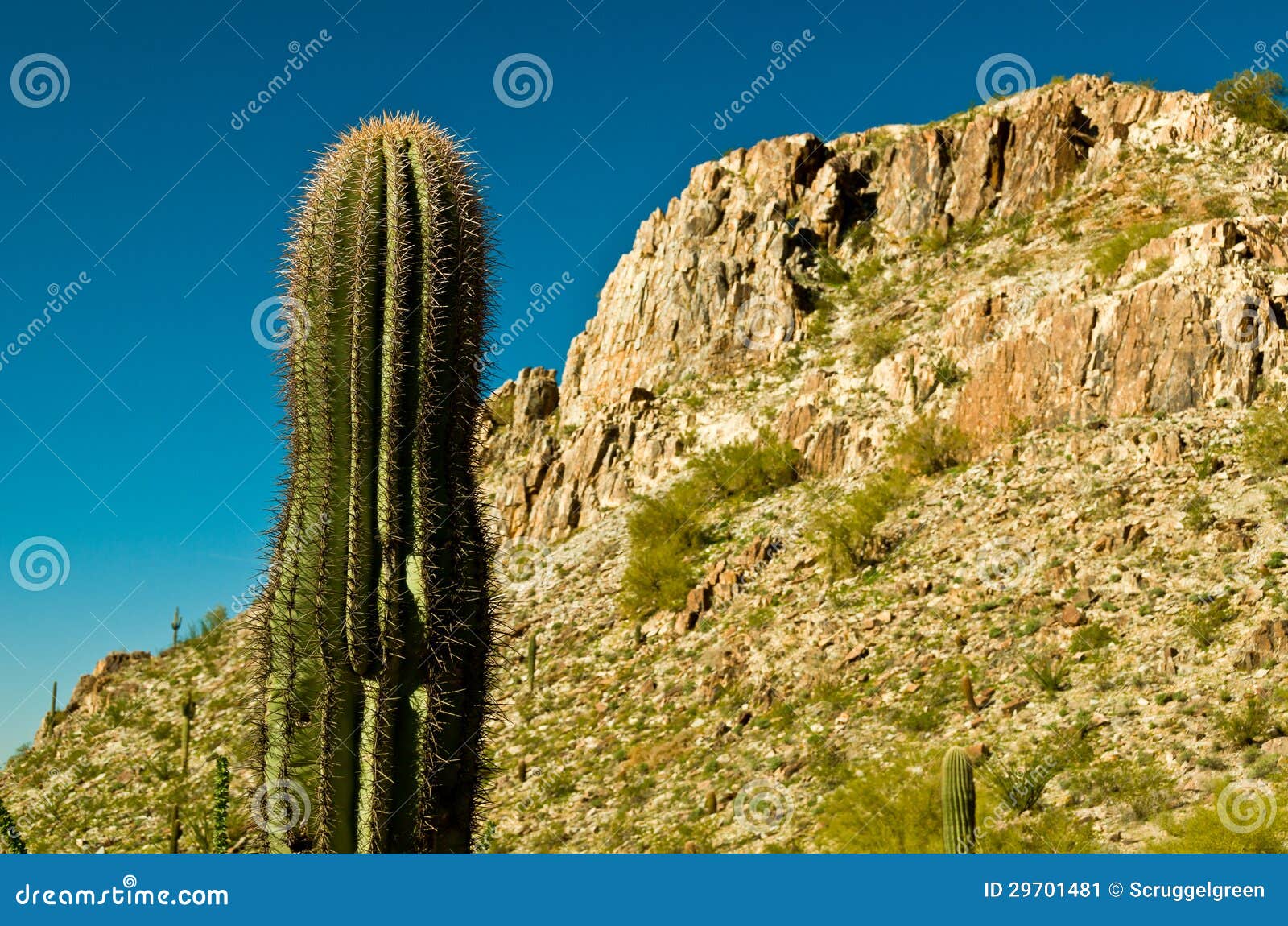 Piestewa / Squaw Peak stock image. Image of states, mountain - 29701481