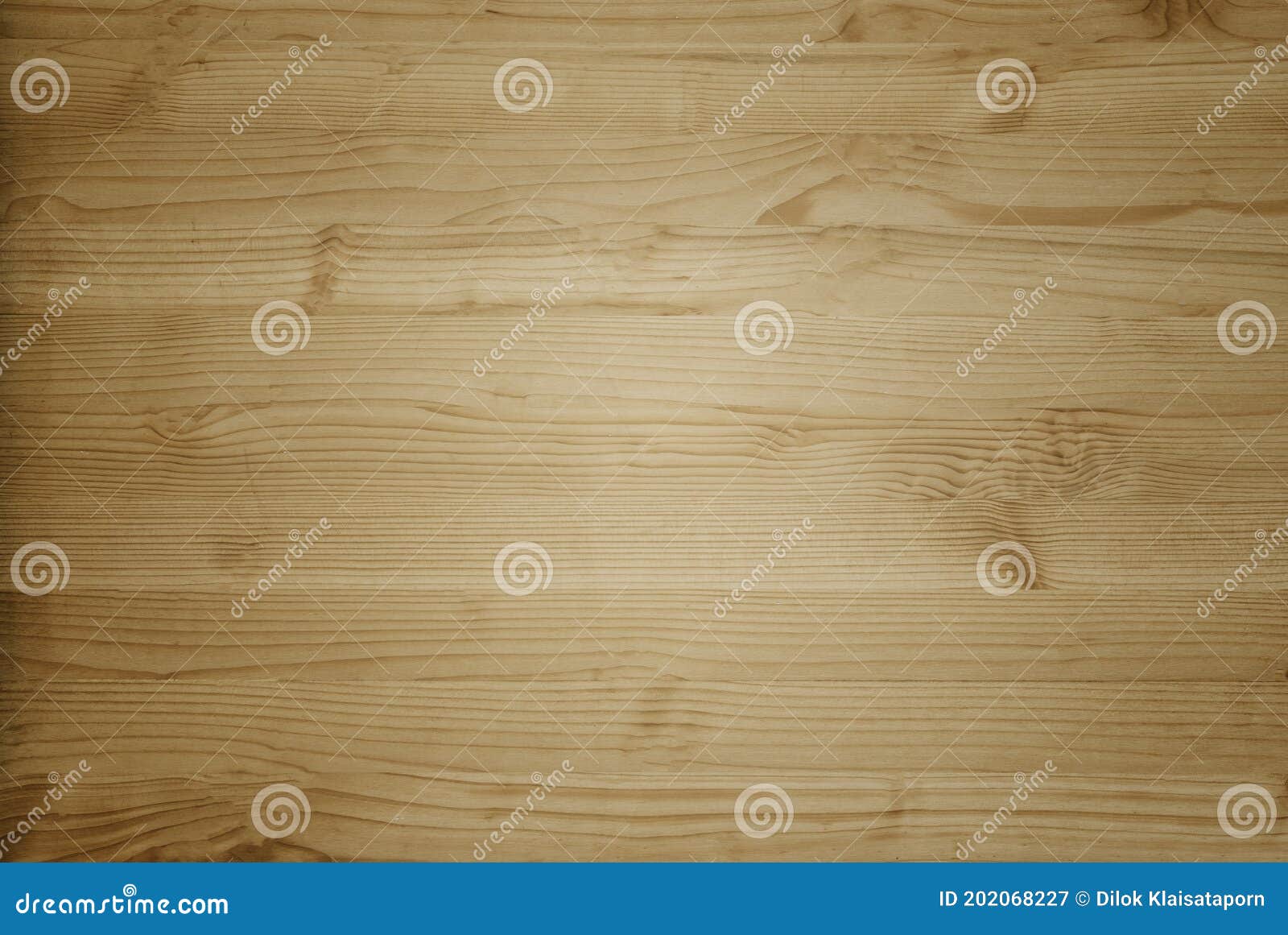 Beautiful of Pine Wood for Background and Texture Stock Image - Image ...