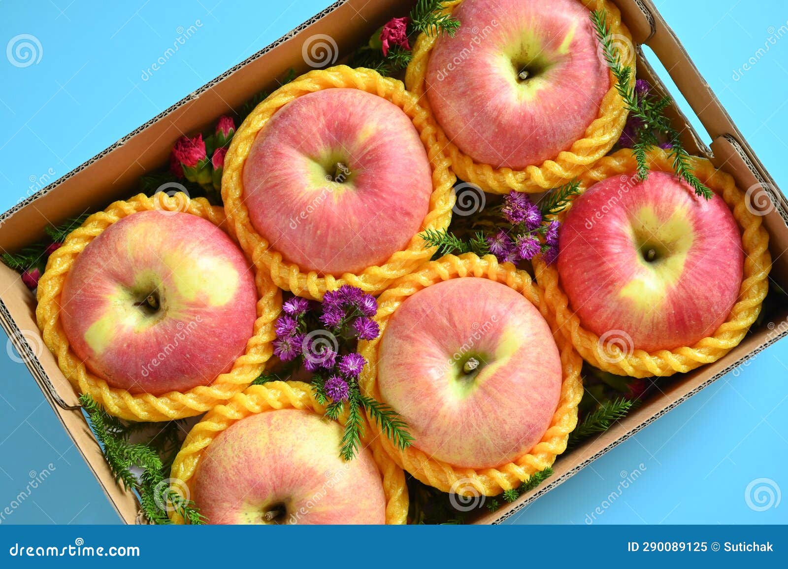 Beautiful Pink Apple in the Box on Blue Background Stock Image - Image ...