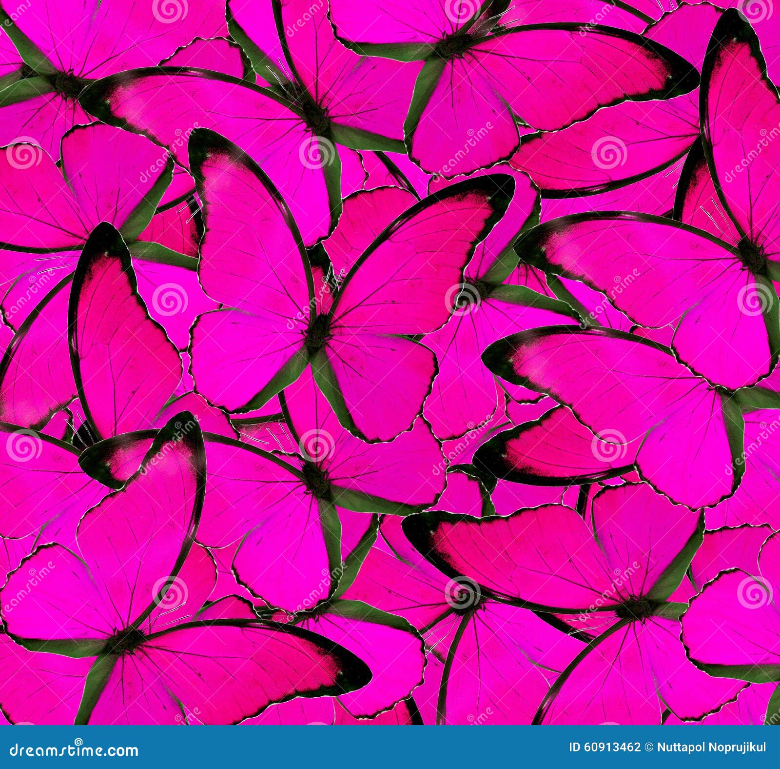 Beautiful Pink Butterfly Background Texture. Stock Photo - Image of ...