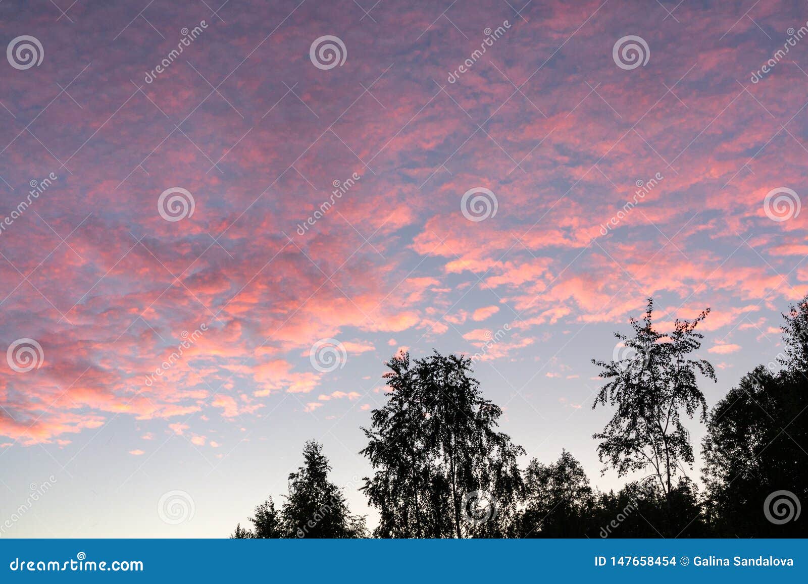 Beautiful Pink Clouds in a Blue Sky Stock Photo - Image of high ...