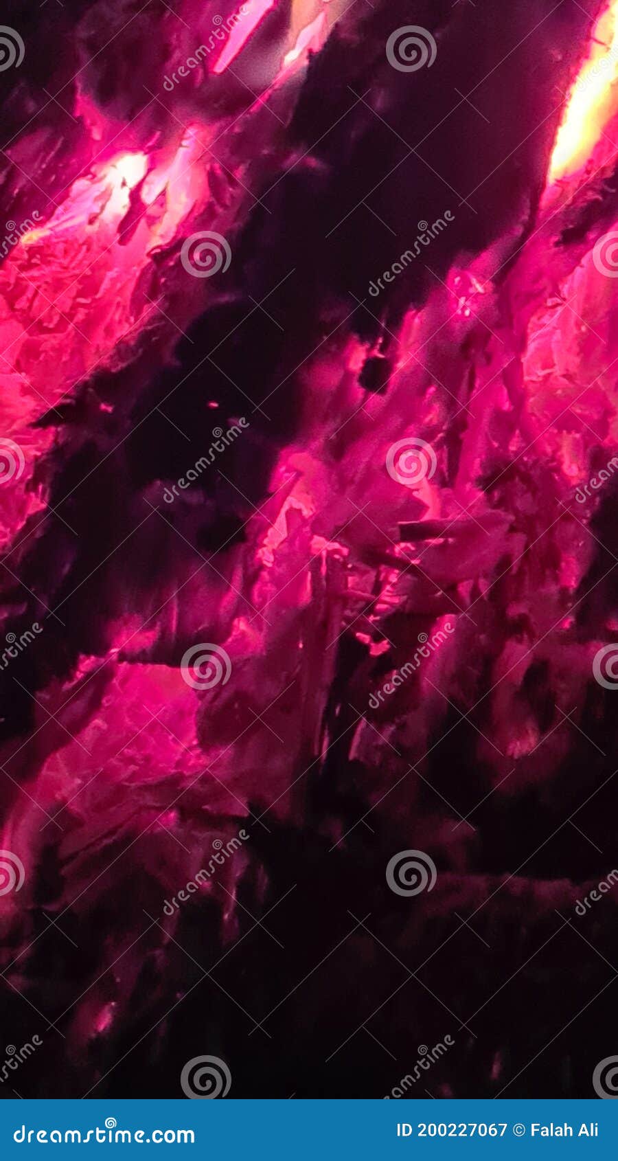 Beautiful Pink Fire at Night Stock Image - Image of yellow, beauty ...