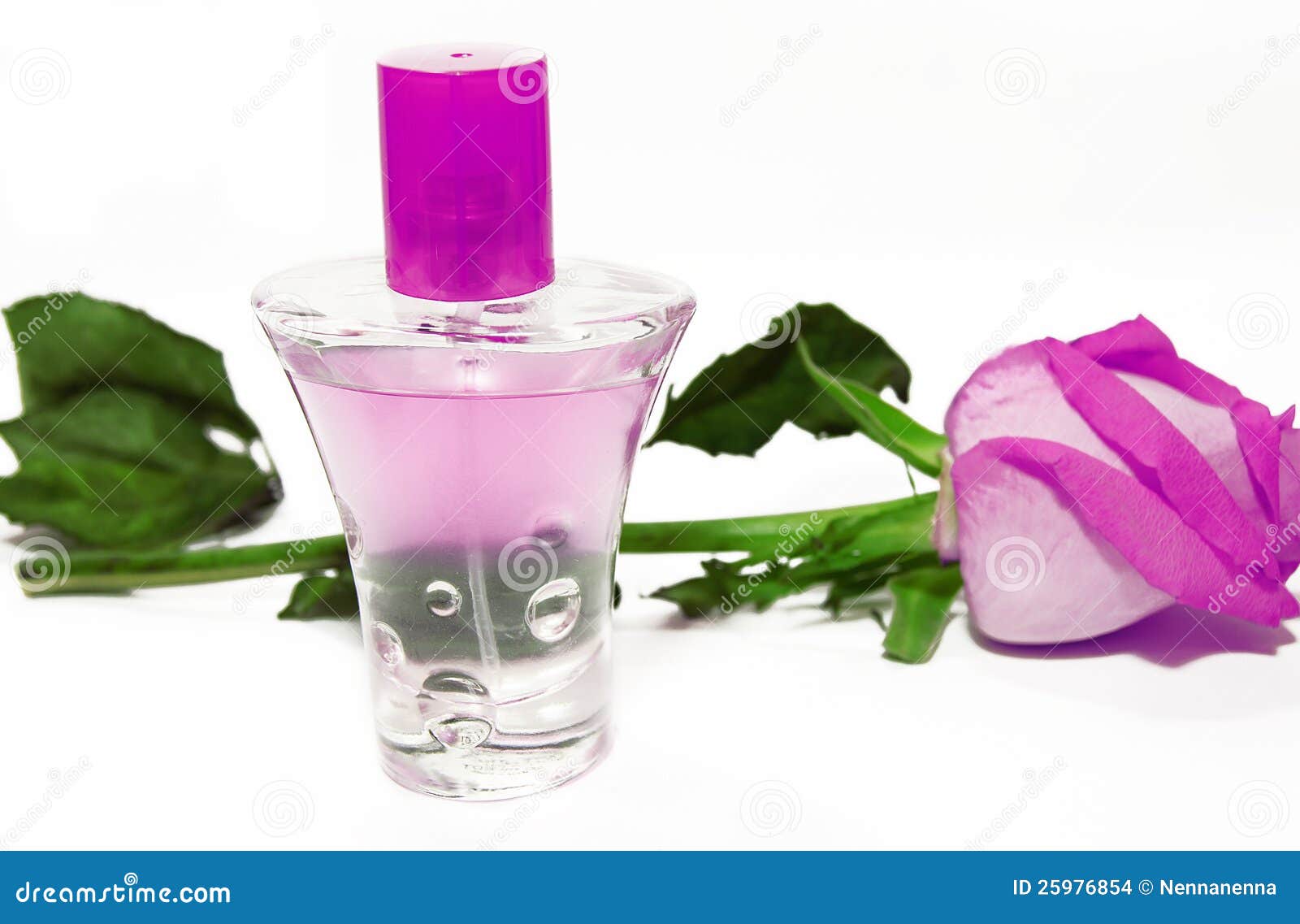 Beautiful Pink Perfume and Soft Pink Rose Stock Photo - Image of ...