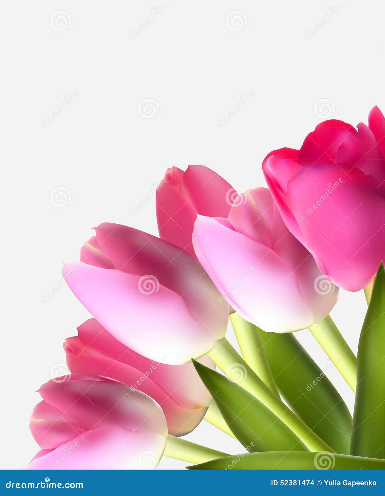Beautiful Pink Realistic Tulip Background Vector Stock Vector ...