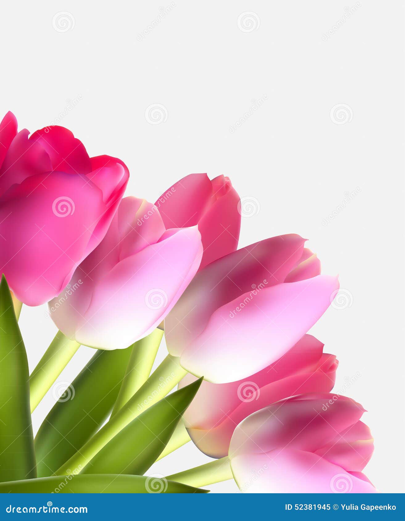 Beautiful Pink Realistic Tulip Background Vector Stock Vector ...