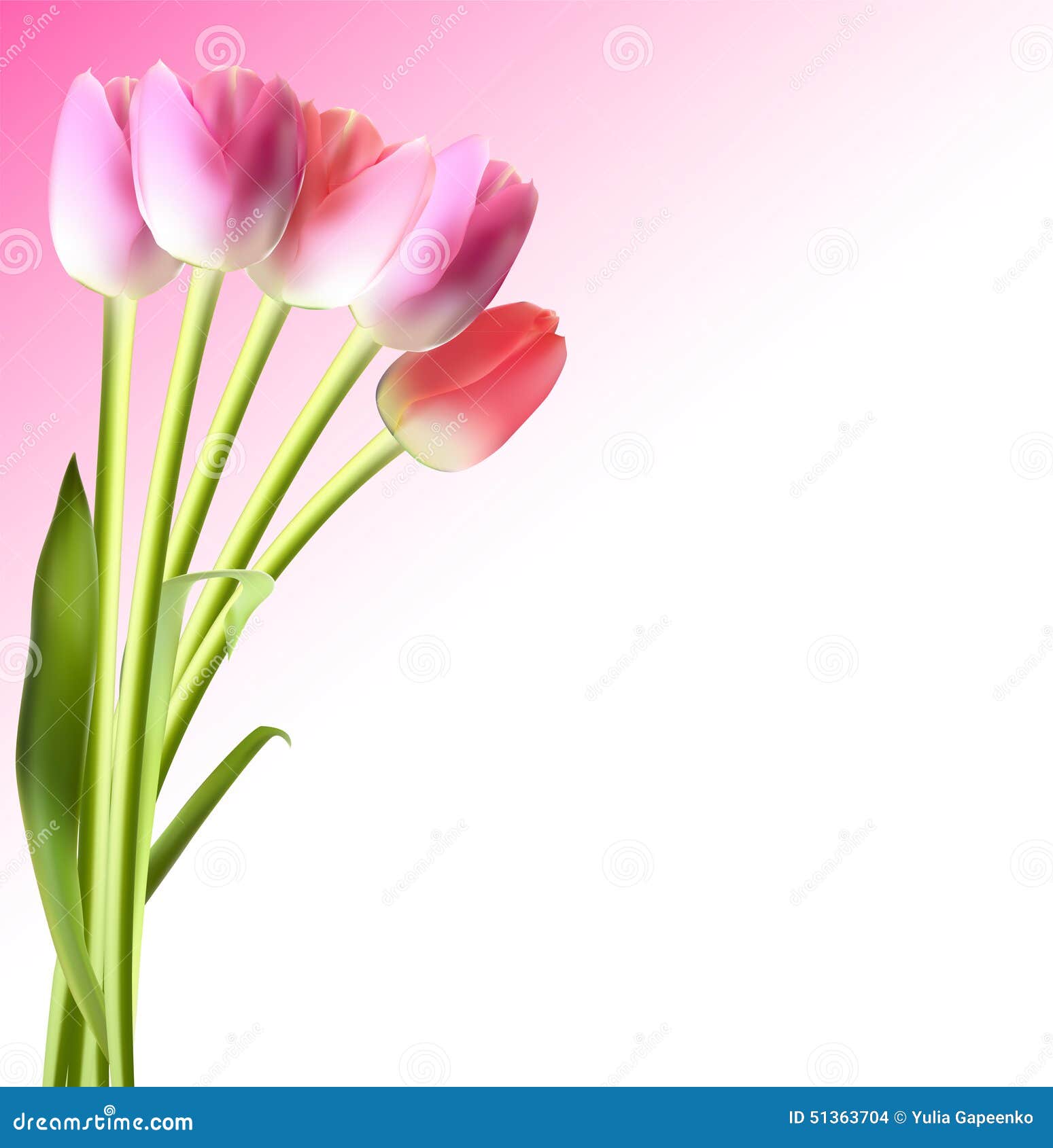Beautiful Pink Realistic Tulip Background Vector Stock Vector ...