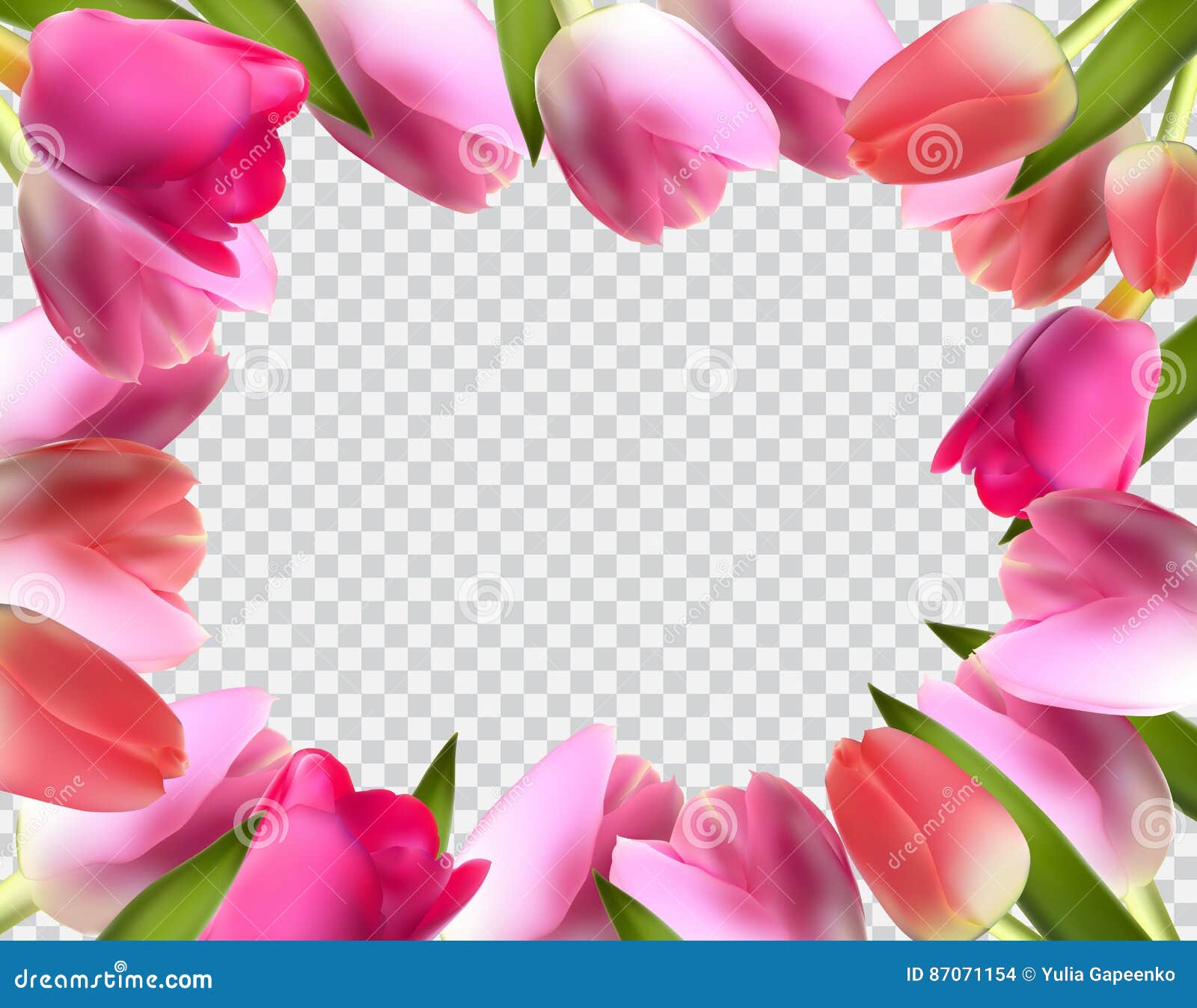 Beautiful Pink Realistic Tulip Frame Vector Illustration Stock Vector ...