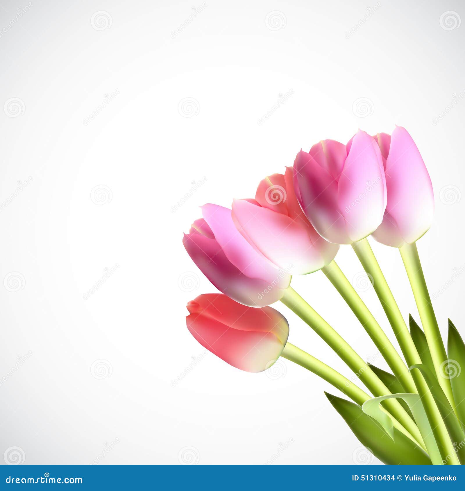 Beautiful Pink Realistic Tulip Vector Illustration Stock Vector ...