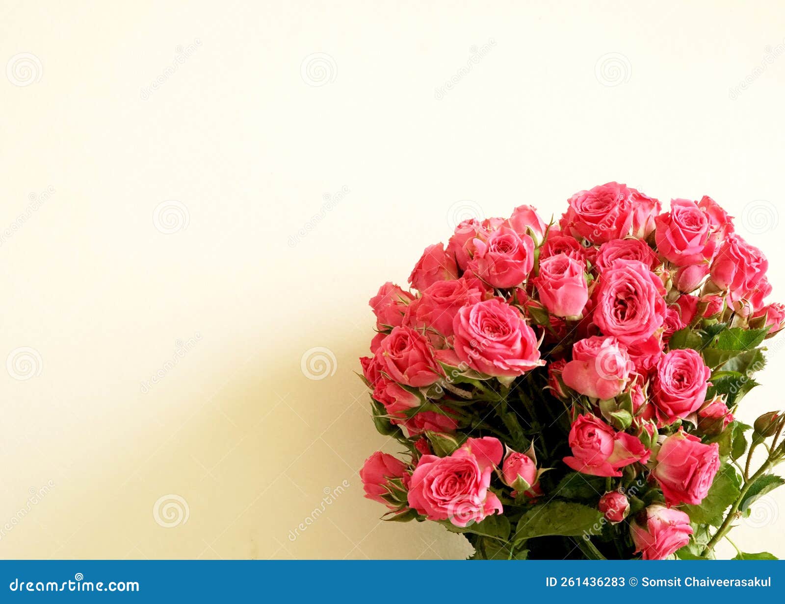 A Beautiful Pink Rose Bouquet Stock Image - Image of decor, natural ...