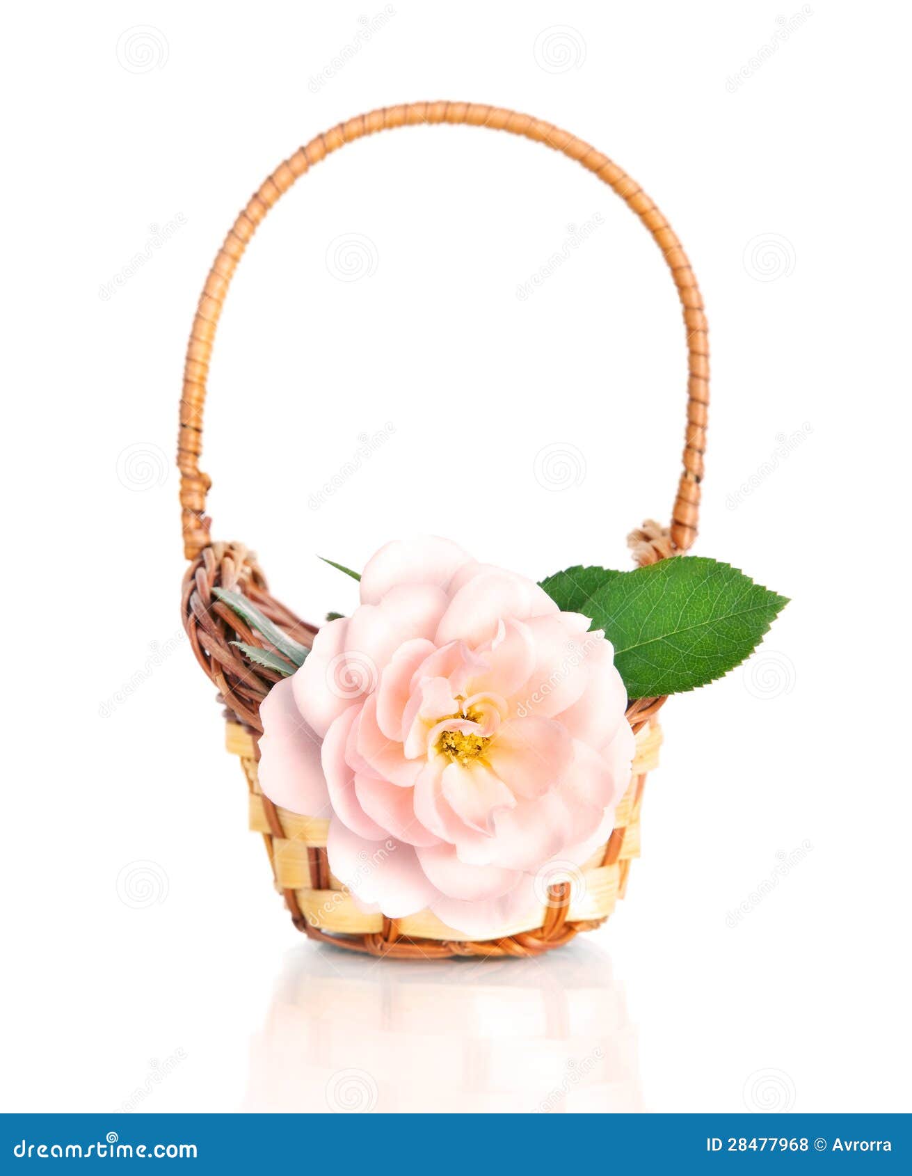 Beautiful Pink Rose Flower in Basket, Stock Photo - Image of flower ...