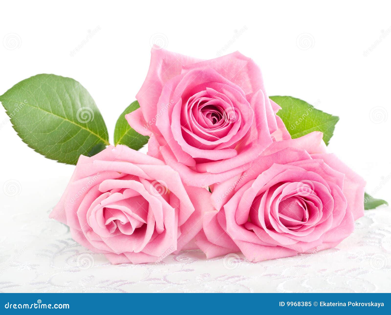 Beautiful pink roses stock image. Image of decoration - 9968385