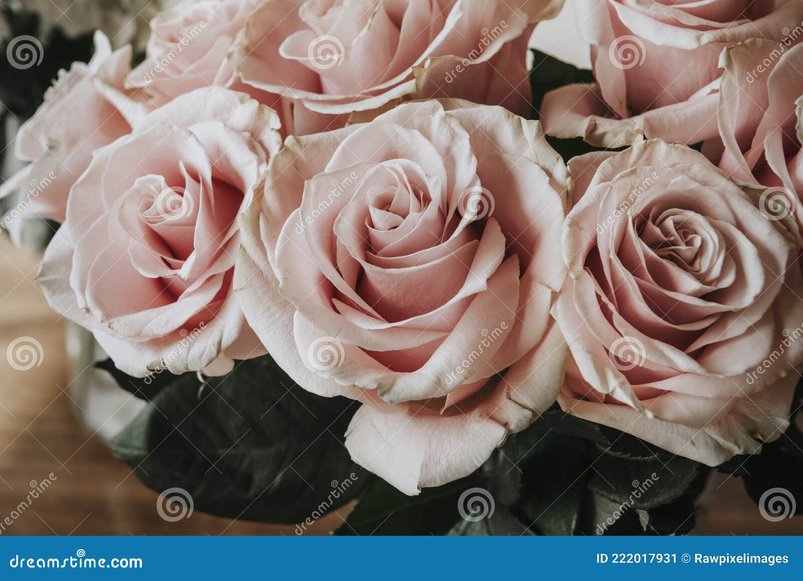 Beautiful Pink Roses in a Vase on a Table Stock Image - Image of close ...