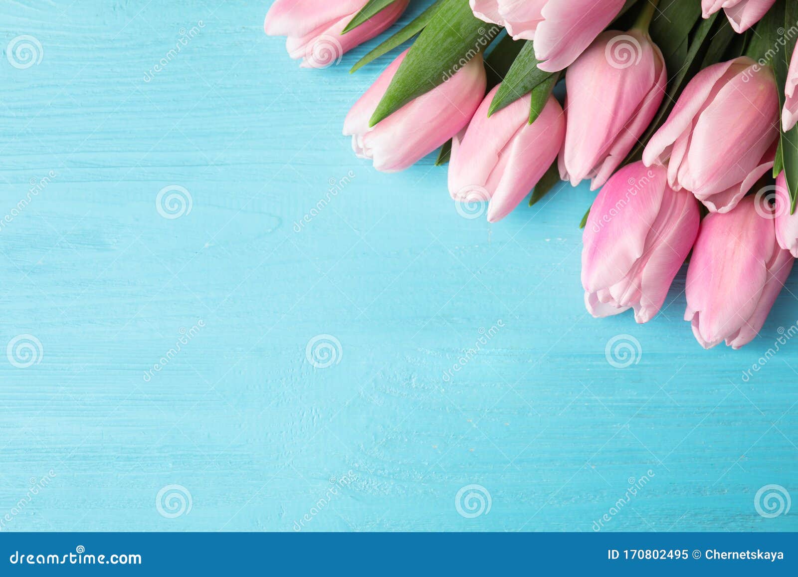 1,525,654 Pink Spring Background Stock Photos - Free & Royalty-Free ...