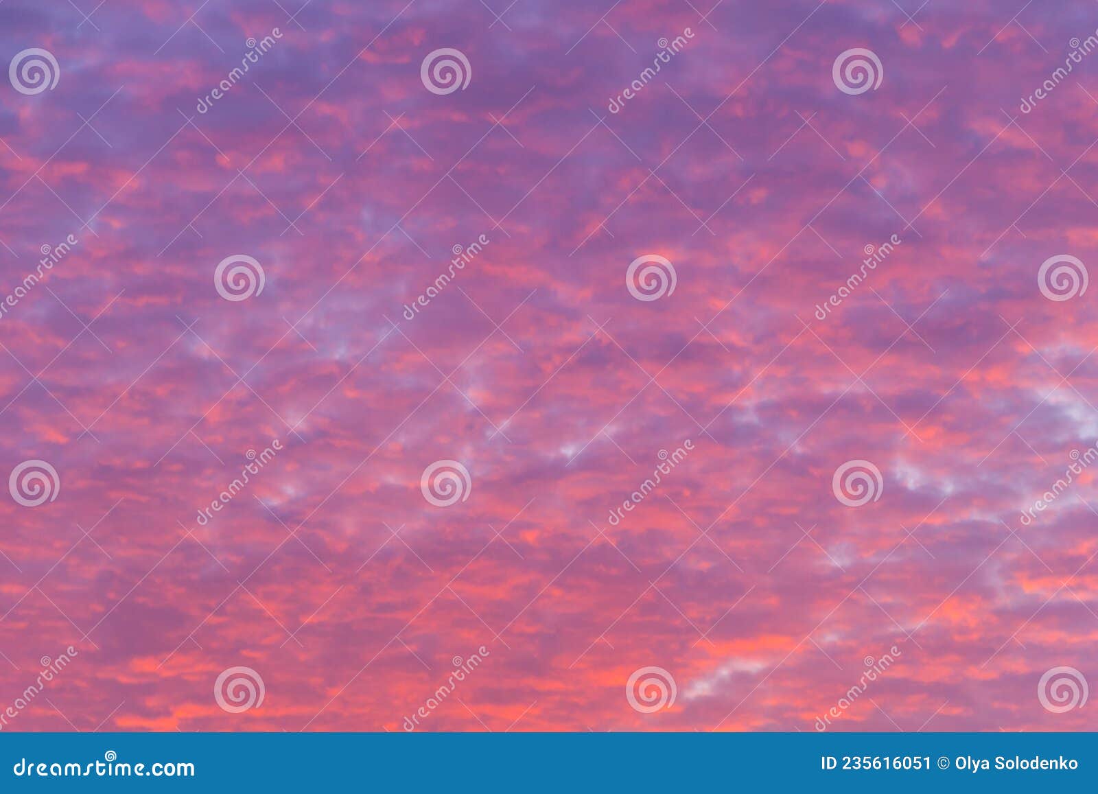 Beautiful pink sunrise sky stock image. Image of morning - 235616051