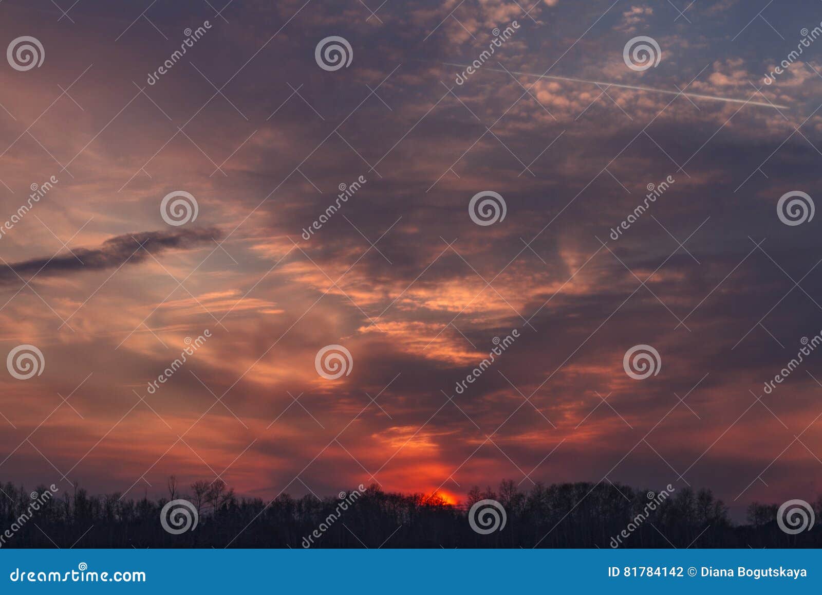 Beautiful Pink Sunset Over the Forest. Stock Photo - Image of fresh ...