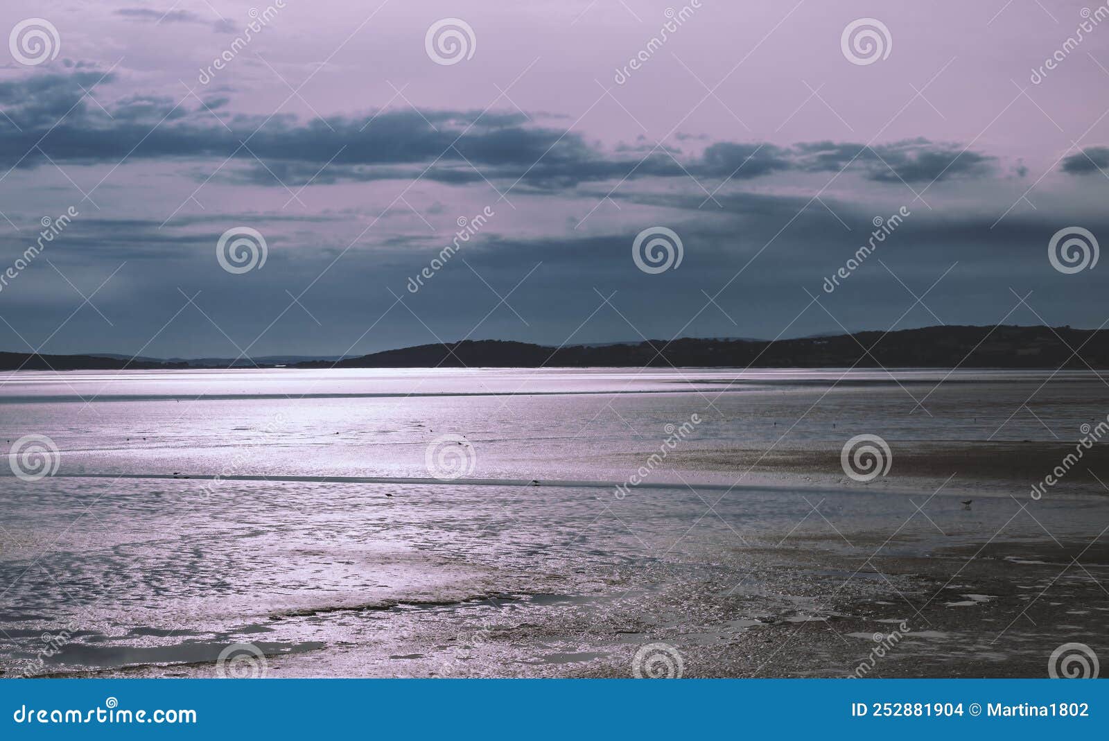 Pink sunset on the sea stock photo. Image of dawn, paradise - 252881904