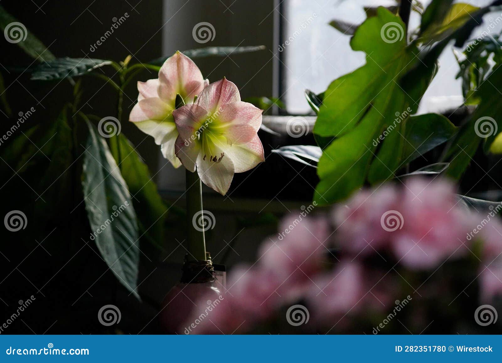 White Waxed Paper Texture Background Stock Image | CartoonDealer.com ...