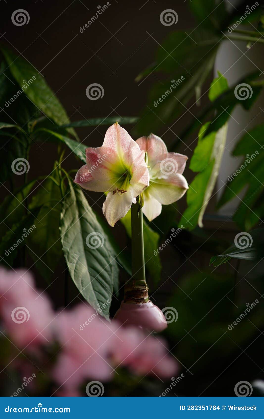 White Waxed Paper Texture Background Stock Image | CartoonDealer.com ...